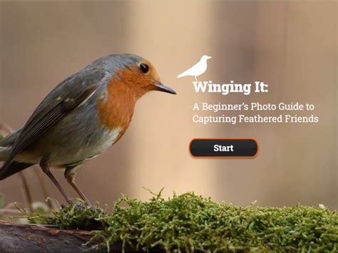 Using A Storyline 360 Lightbox For A Glossary Slide Bridgehill Learning Solutions