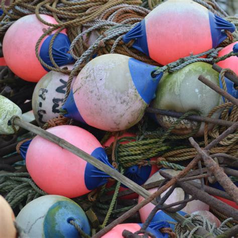 330 Simrishamn Fotos Fotos De Stock Imagens E Fotos Royalty Free Istock