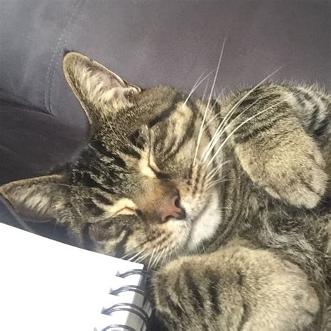 Benjamin Mitchell Youtube