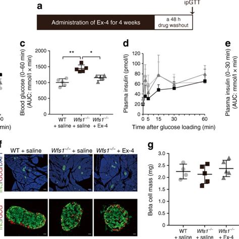 Chronic Effects Of Ex 4 On Glucose Tolerance Gsis And Beta Cell Mass