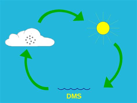 5 Schematic Diagram Of The Claw Hypothesis Download Scientific Diagram