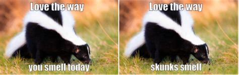 3 Minute Pitch Retrieval Guided Contrastive Learning For Hateful Memes