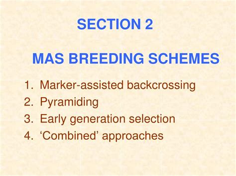 Ppt Marker Assisted Breeding For Rice Improvement Powerpoint