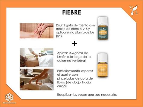 Pin De Jan En Aceites Esenciales Aceites Esenciales Para La Tos