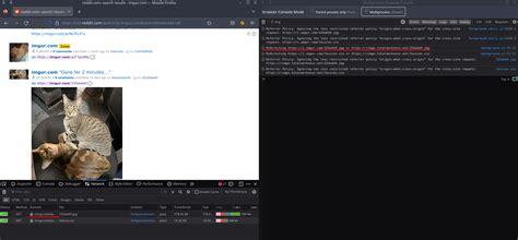 Requests On Other Sites Not Redirecting As Expected · Issue 166