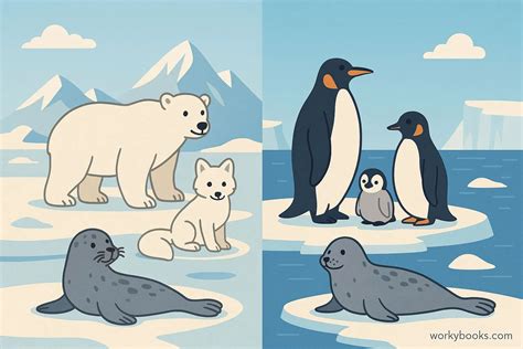 Polar Climate Definition Facts Examples And Quiz Earth Science Learning