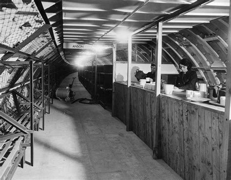 Woman Discovers Wwii Bomb Shelter In Her Backyard The Vintage News