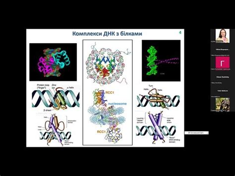 Free Video Computational Methods Of Structural Bioinformatics In