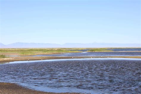 БОАЖ ын Сайд Б Бат Эрдэнэ Увс аймагт ажиллаж байна ТАС МН