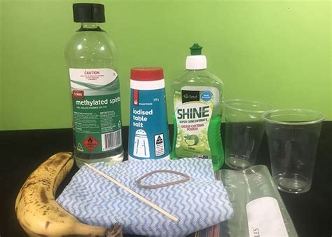 Extract DNA Fizzics Education