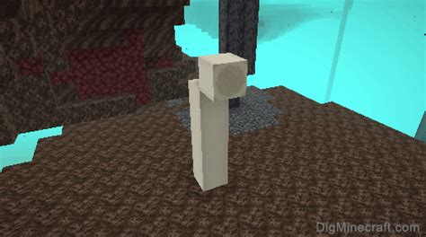 Nether Fossil In Minecraft