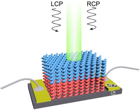 Schematic Description Of A Circularly Polarized Light Detector