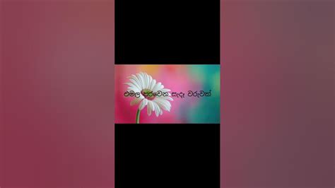 කවි පිටුව නිසදැස් සංකල්පනා ජීවිතය විටෙක ගංගාවක් වගේ තවත් විටෙක මලක් වගේ Youtube