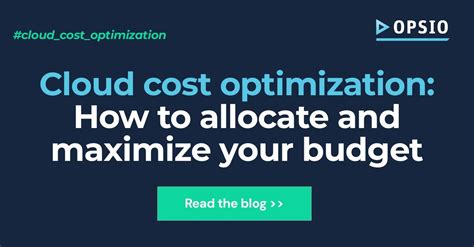 cloud cost optimization maximize your budget opsio