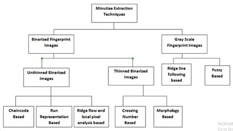 Minutiae Based Extraction In Fingerprint Recognition