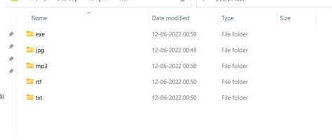 A File Organizer In Python Rwindows