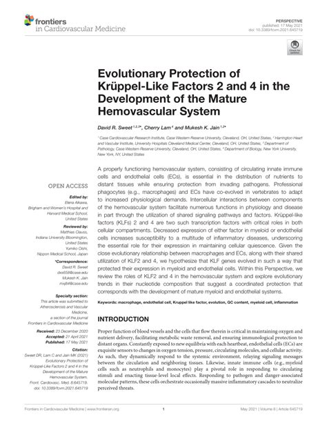 Pdf Evolutionary Protection Of Krüppel Like Factors 2 And 4 In The