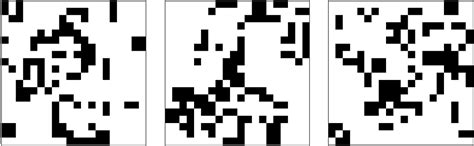 Adversarial Attack Using Genetic Algorithm By Pavel Tyshevskyi