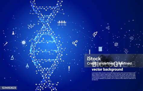 도트에서 벡터 Dna 유전 구조는 아이콘라인 다각형을 연결합니다 와이어 프레임 모델에 대한 스톡 벡터 아트 및 기타 이미지 와이어 프레임 모델 임신 0명 Istock