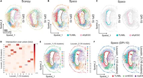 Spaco A Comprehensive Tool For Coloring Spatial Data At Single Cell Resolution Patterns