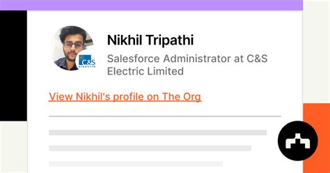 Nikhil Tripathi Salesforce Administrator At Cands Electric Limited