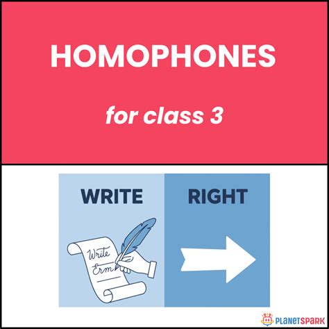 Class 3 Grammar Worksheet On Interrogative Sentences Asking Questions