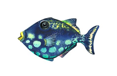 고립 된 열대 해양 물고기의 수채화 그림 밝은 산호 수족관 파란색 디자인 장식 포스터 엽서 인쇄물 삽화 개체 그룹에 대한 스톡 벡터 아트 및 기타 이미지 Istock