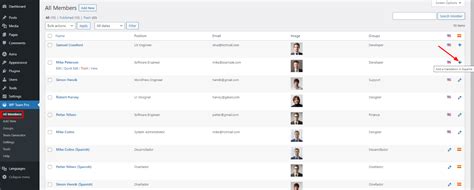 Using Polylang Wp Team
