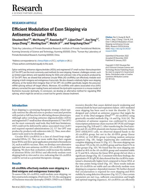 pdf efficient modulation of exon skipping via antisense circular rnas