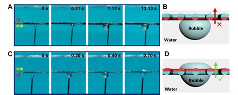 Figure 1 From Facile Fabrication Of Single Layer Janus Membrane For Underwater Bubble