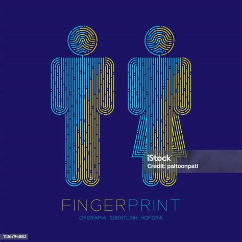 남자와 여자 기호 그림 패턴 지문 스캔 로고 아이콘 대시 라인 남성 여성 성별 개념 편집 가능한 스트로크 그림 파란색과 노란색 고립 된 지문 텍스트와 파란색 배경 남자에