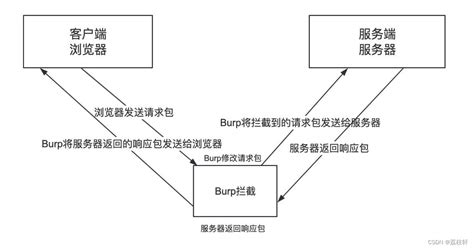 burpsuite的原理及代理的设置 burp代理设置 csdn博客