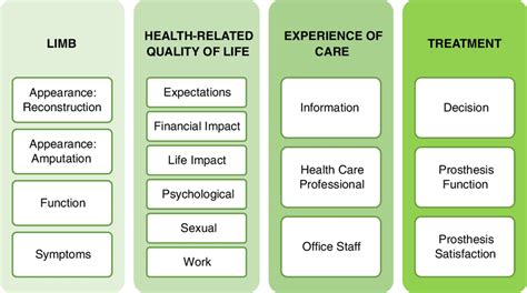 Conceptual Framework Of The Final Limb Q Download Scientific Diagram