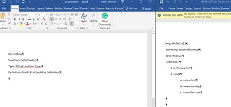 XRAYCLOUD When Exporting A Precondition Definition With Levels Bullet Points In Excel