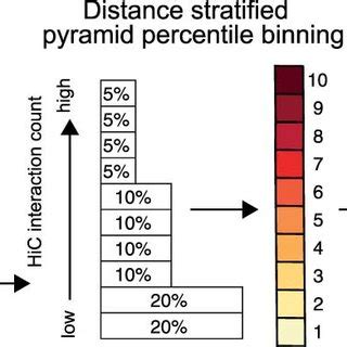 Percentile Normalizing Hi C Data For Deep Learning The Hi C Download Scientific Diagram