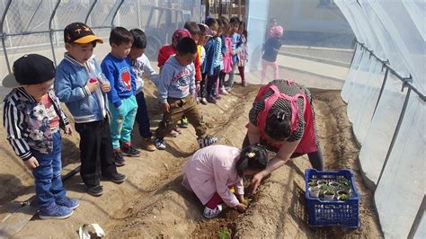 Хүүхэд хөгжлийн түлхүүр Өмнөговь 4 р Цэцэрлэг