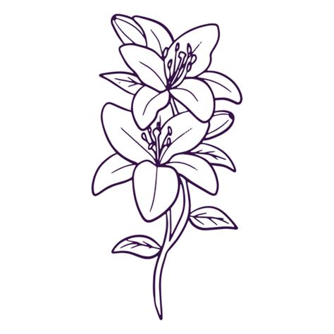 Line Art Drawings Flowers Line Drawing Flowers Dahlias Drawings