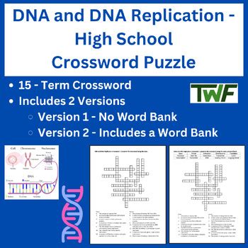 DNA And DNA Replication Crossword Puzzle Activity By Teach With Fergy