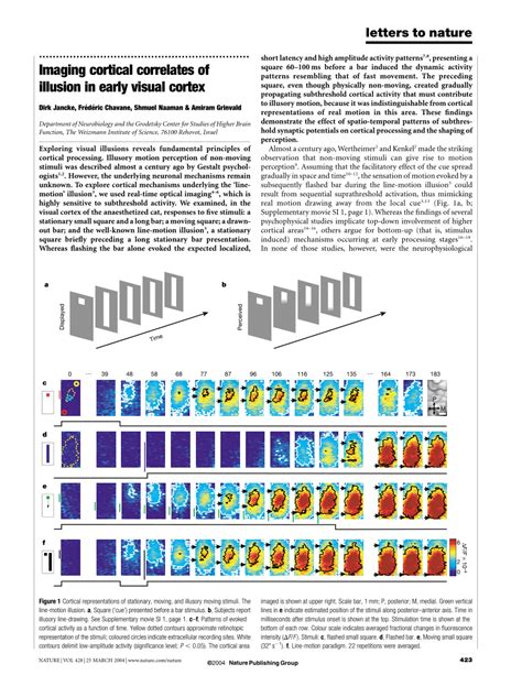 Pdf Imaging Correlates Of Visual Illusion In Early Visual Cortex