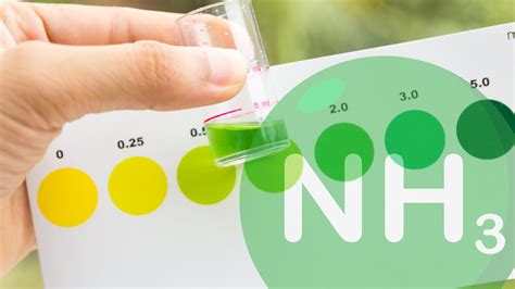 Energy Science News Why Fraunhofers All In One Nh3 System Is A Big Deal Hydrogen Fuel News