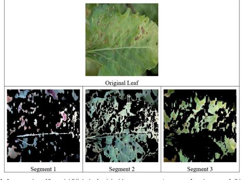 Figure 2 From Detection And Classification Of Plant Diseases Using Image Processing And