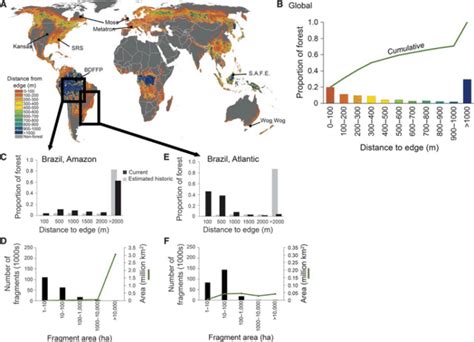 Habitat Fragmentation A Multi Scale Approach Detailing Its Lasting Impact On Earths Ecosystems