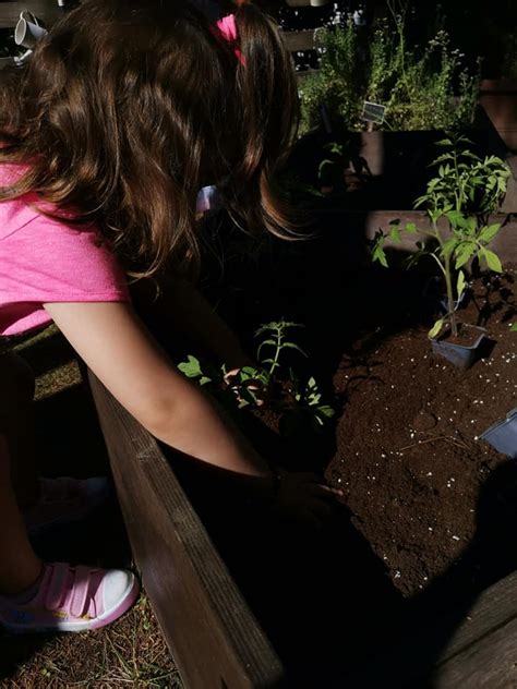 Το σπιτάκι στο δάσος Παιδικός Σταθμός Νηπιαγωγείο Home Facebook