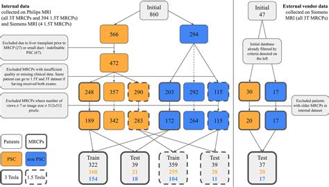 Deepsc A Deep Learning Model For Automated Diagnosis Of Primary Sclerosing Cholangitis At Two