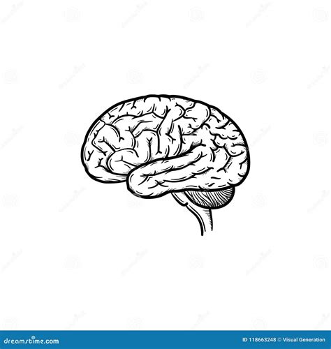 Human Brain Hand Drawn Outline Doodle Icon Stock Vector Illustration Of Health Audition