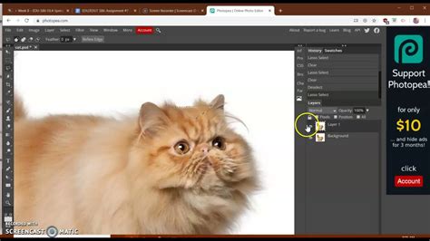 How To Use Photoshop On PhotoPea YouTube