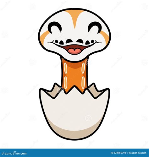 Cute Albino Sunfire Tiger Het Genetic Stripe Reticulated Python Inside An Egg Stock Vector