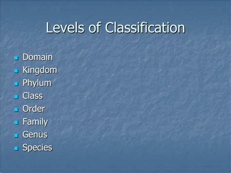 Levels Of Classification Project At Dorothy Butler Blog