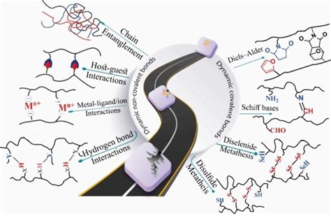 Schematics Of Dynamic Covalent And No Covalent Bonds Operation In The
