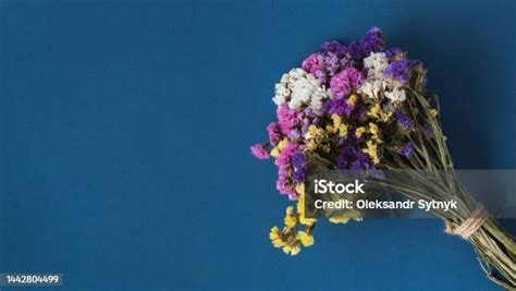 파란색 배경에 여러 가지 색의 마른 야생화 꽃다발 플랫 레이 공간을 복사합니다 인사말 카드용 템플릿 0명에 대한 스톡 사진 및 기타 이미지 Istock